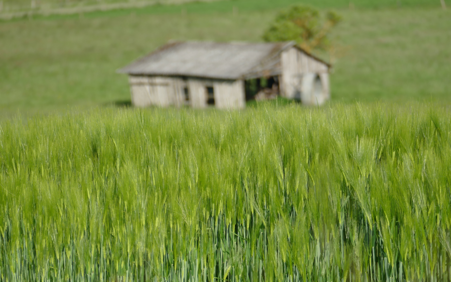 Daniel Smutny | sound ecologies | NEWS